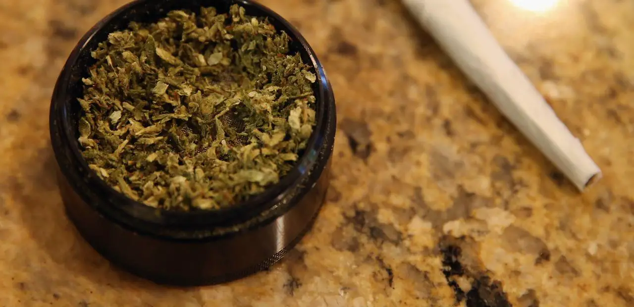 Discover Best Grinders for Weed and Herbs (July. 2020 UPDATE) – Buyer’s ...